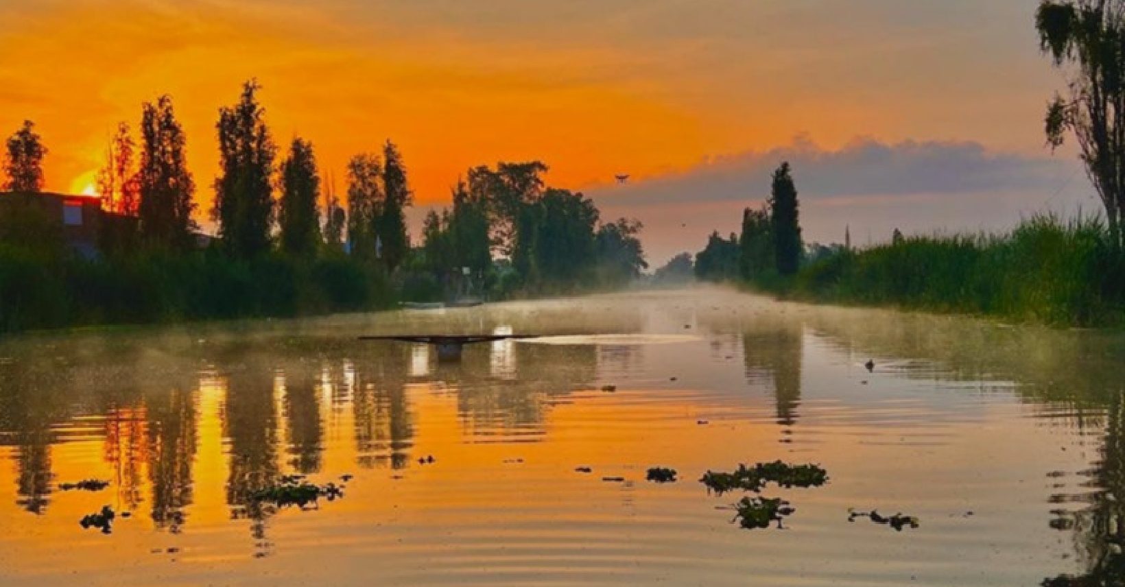 Conoce la belleza de Tláhuac en un Safari Fotográfico: estas son las ...