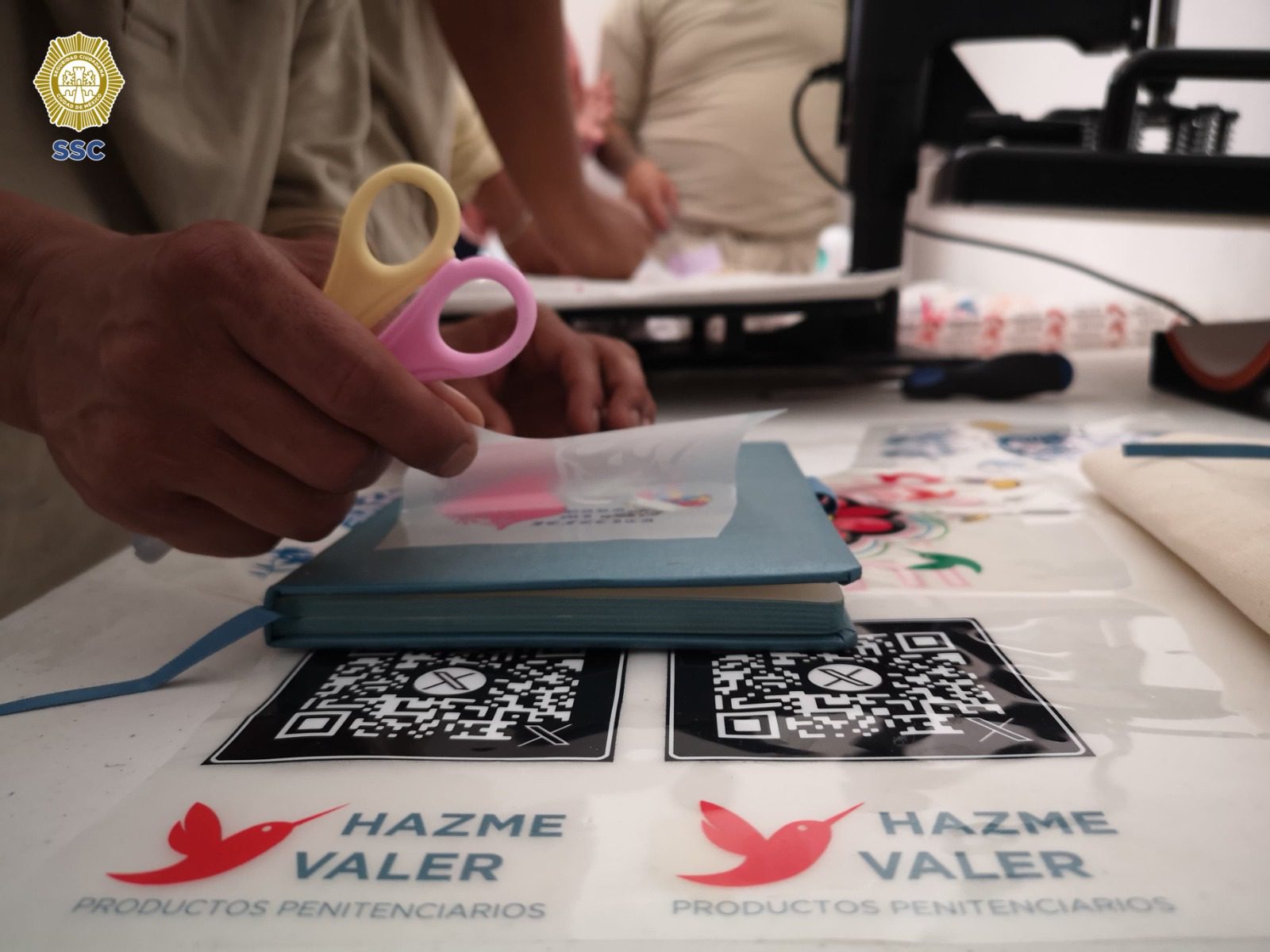 Reos de la CDMX elaboran el kit “La Jefecita” para este 10 de mayo - 88 ...