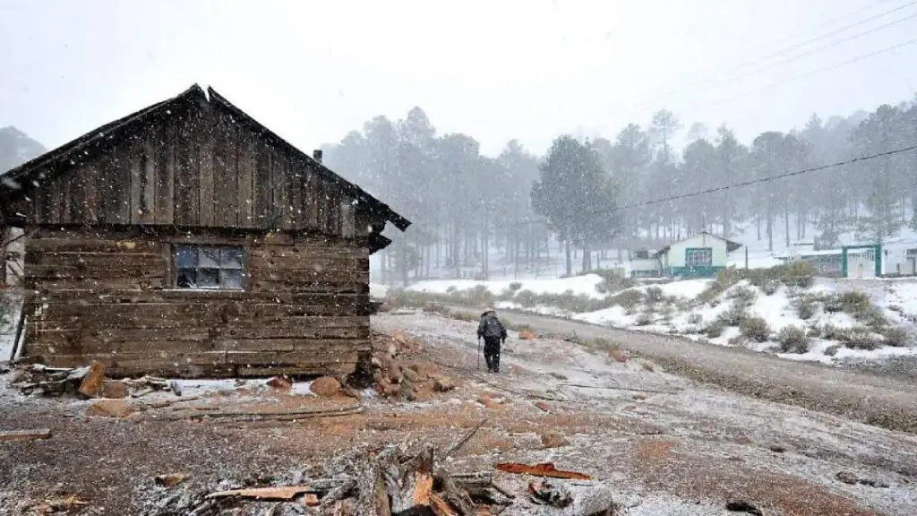 Así es La Rosilla, el pueblo duranguense que sobrevive a 20 grados bajo ...